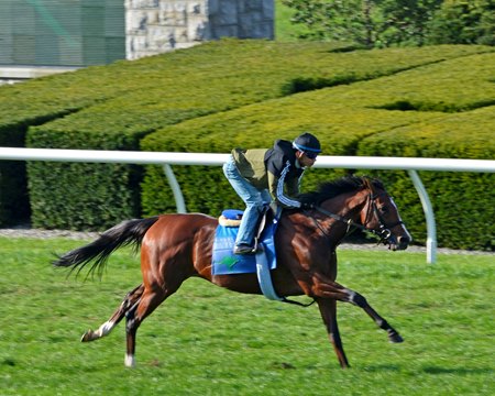 Tough Field Awaits Oscar Performance in 2018 Debut - BloodHorse