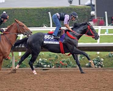 Sharp Azteca - Horse Profile - BloodHorse