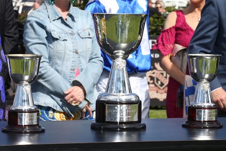 Winx - Horse Profile - BloodHorse