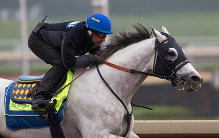 Grade 1 Winner Cupid Retired From Racing - BloodHorse