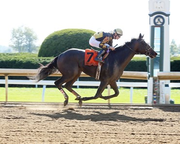 Big Dollar Bill - Horse Profile - BloodHorse