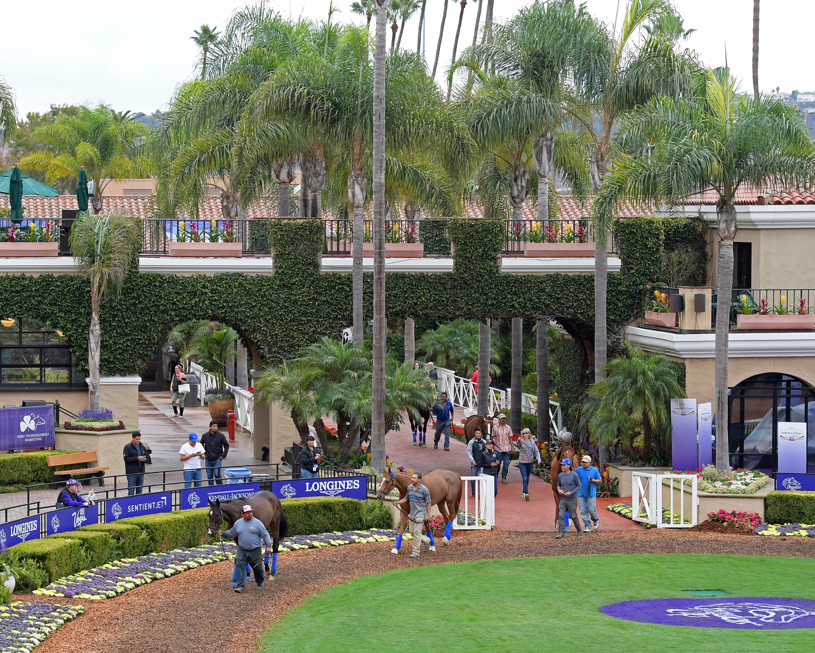 A Dream Comes True, Again, for Mick Ruis - BloodHorse