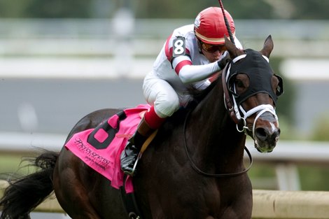 Field of Courage Proves Valiant in Nearctic - BloodHorse