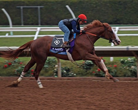 Free Drop Billy Shines, Hollywood Star Frustrates - BloodHorse