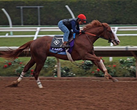 Free Drop Billy Shines, Hollywood Star Frustrates - BloodHorse