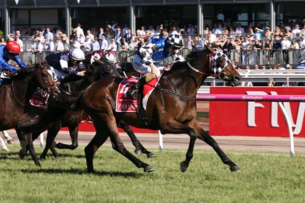 Tosen Stardom (JPN) - Horse Profile - BloodHorse