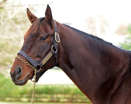 Gallery Racing/Runhappy to Sponsor 2018 Met Mile - BloodHorse