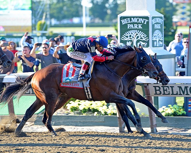 Tapit's World - Features - BloodHorse.com