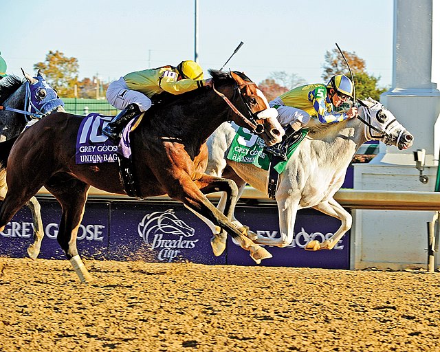 Tapit's World - Features - BloodHorse.com