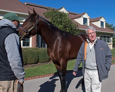 Quality Road - Horse Profile - BloodHorse