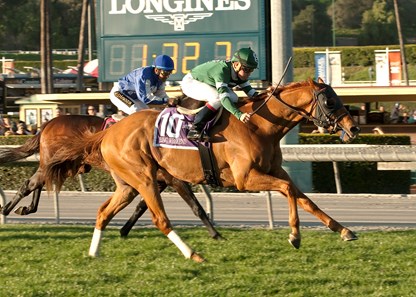 Ring Weekend - Horse Profile - BloodHorse