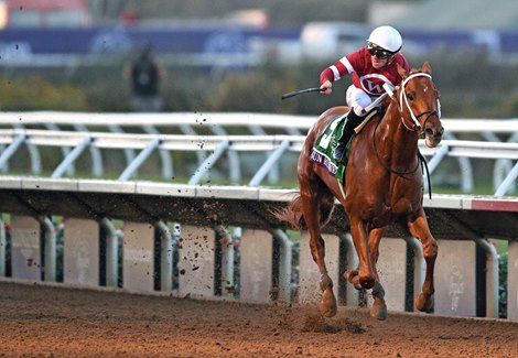 Gun Runner Named Horse of the Year - BloodHorse