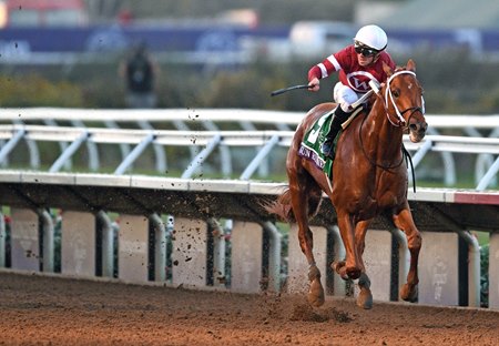 Gun Runner Named Horse of the Year - BloodHorse
