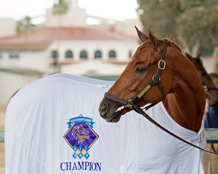 Gun Runner Sets Track Ablaze in Latest Work - BloodHorse