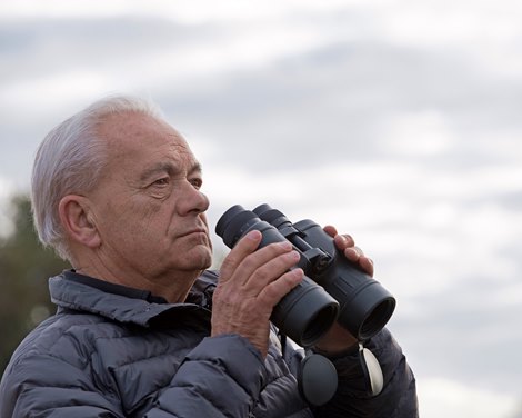 Hollendorfer Bench Trial Awaits Resolution - BloodHorse