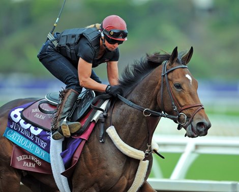 Catholic Boy Works at Tampa Bay Downs - BloodHorse
