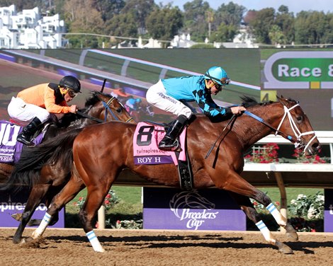 Roy H Named Champion Male Sprinter - BloodHorse