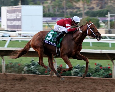 Gun Runner to Stud After the Pegasus World Cup - BloodHorse