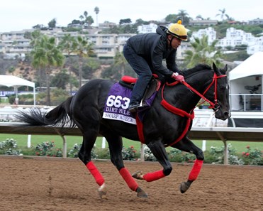 Sharp Azteca - Horse Profile - BloodHorse