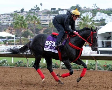 Sharp Azteca Seeks Elusive Grade 1 in Cigar Mile - BloodHorse