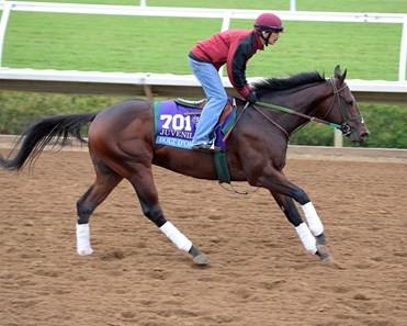 Bolt d'Oro - Horse Profile - BloodHorse