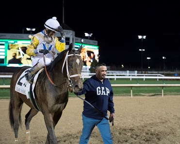 Seeking the Soul - Horse Profile - BloodHorse