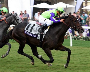 Rushing Fall - Horse Profile - BloodHorse