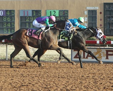 Indian Jack - Horse Profile - BloodHorse
