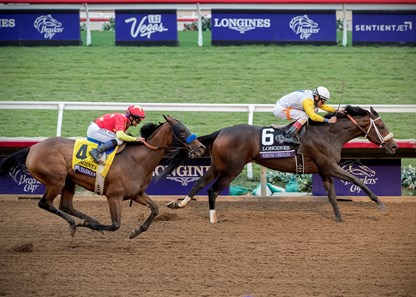 Forever Unbridled - Horse Profile - BloodHorse