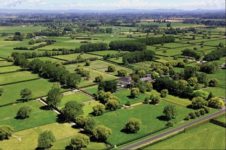 New Zealand's Premier Cambridge Stud is Sold - BloodHorse