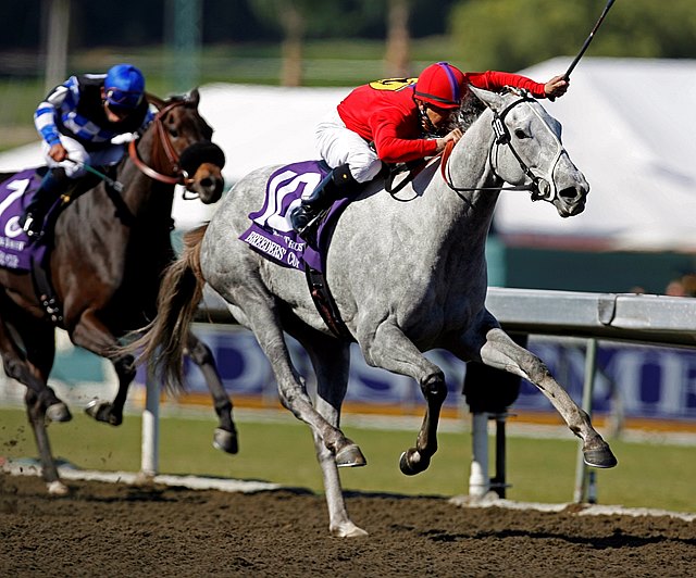 Tapit's World - Features - BloodHorse.com