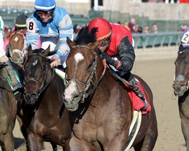 C Z Rocket - Horse Profile - BloodHorse