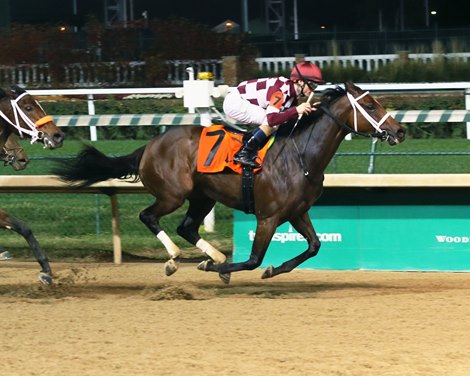 Farrell Could Try Turf in Next Start - BloodHorse