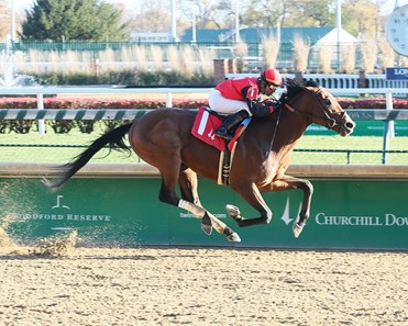 C Z Rocket - Horse Profile - BloodHorse