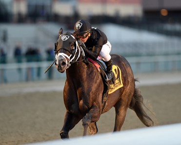 Sharp Azteca - Horse Profile - BloodHorse