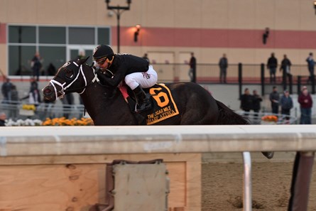 Sharp Azteca - Horse Profile - BloodHorse