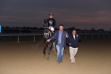 Sharp Azteca - Horse Profile - BloodHorse