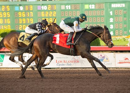 One Fast Broad - Horse Profile - BloodHorse