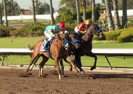 McKinzie Wins Los Al Futurity Via Solomini's DQ - BloodHorse