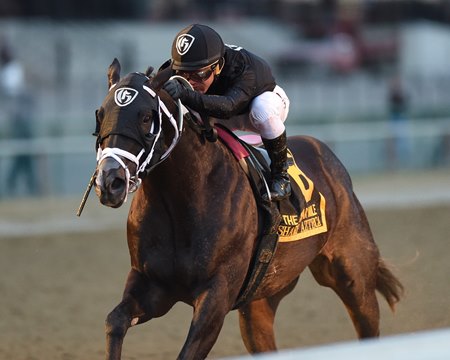 Sharp Azteca to Three Chimneys for 2019 - BloodHorse