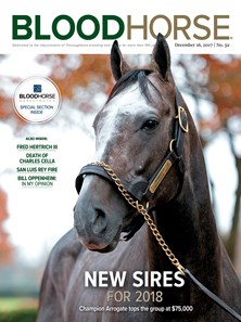 Magazine - Horse Profile - BloodHorse