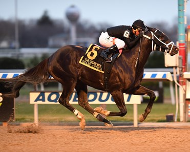 Sharp Azteca - Horse Profile - BloodHorse