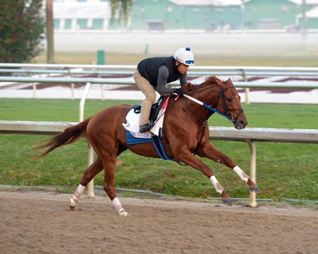 Fappiano Line Dominant Among Incoming Sires for 2018 - BloodHorse