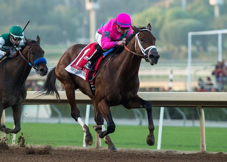 City of Light Shines in Malibu Stakes - BloodHorse