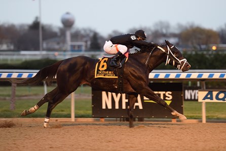 Sharp Azteca - Horse Profile - BloodHorse