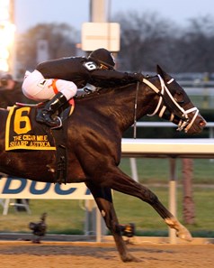 Sharp Azteca - Horse Profile - BloodHorse