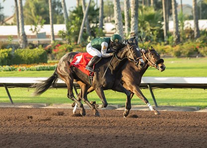 One Fast Broad - Horse Profile - BloodHorse