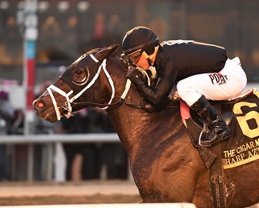 Sharp Azteca - Horse Profile - BloodHorse