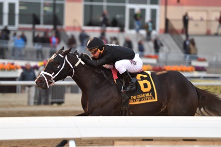 Sharp Azteca - Horse Profile - BloodHorse