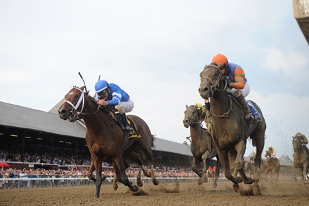 Alpha - Horse Profile - BloodHorse